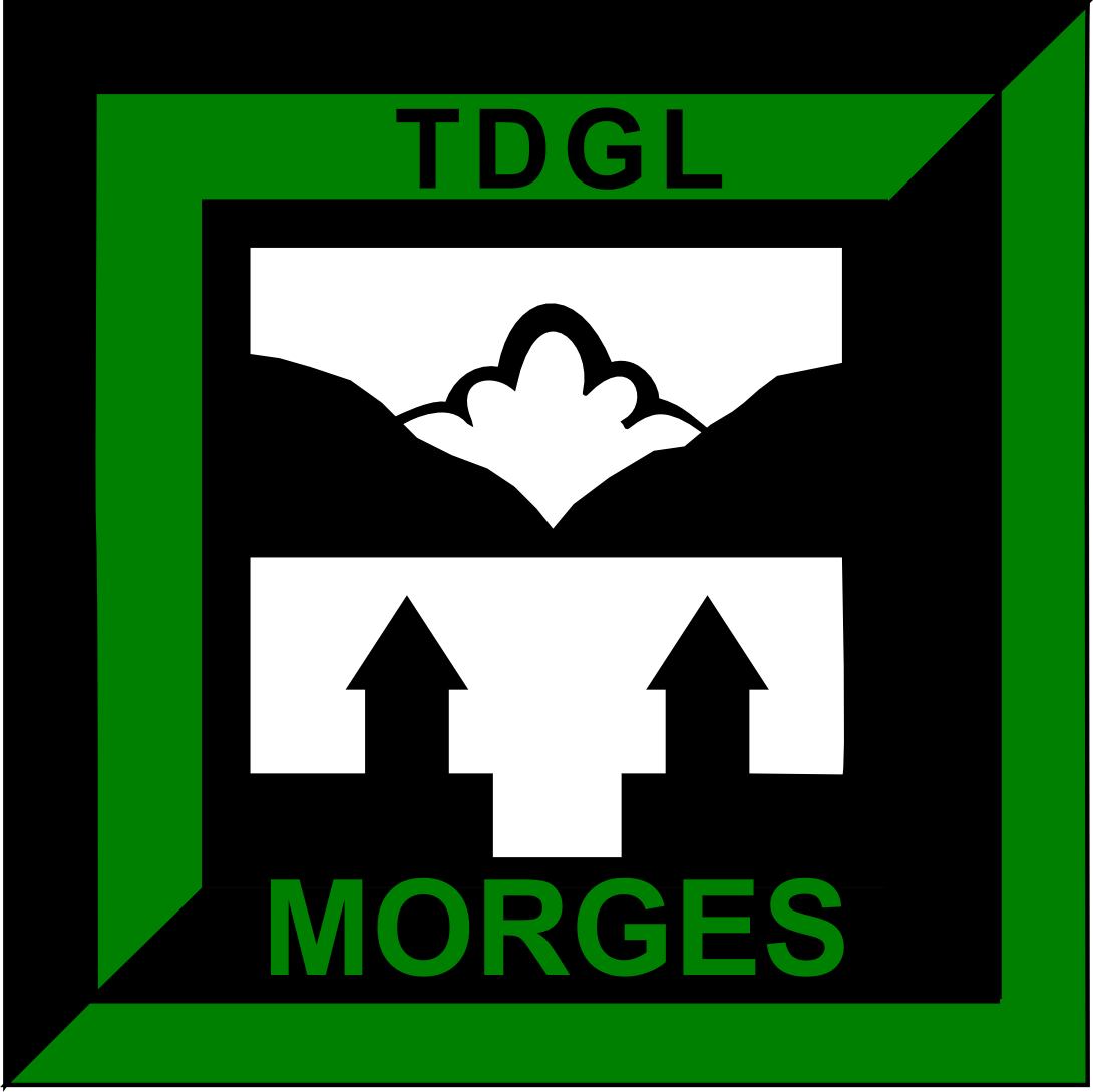 nouveau blason TDGL – ASVd